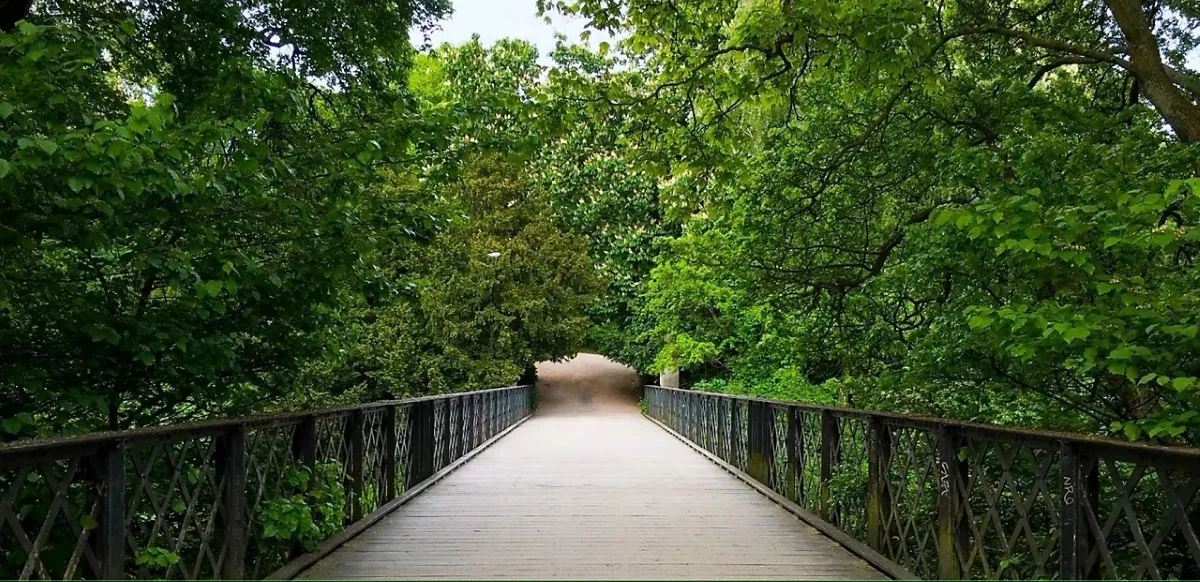 HPE publica informe Living Progress 2023 - ITSitio